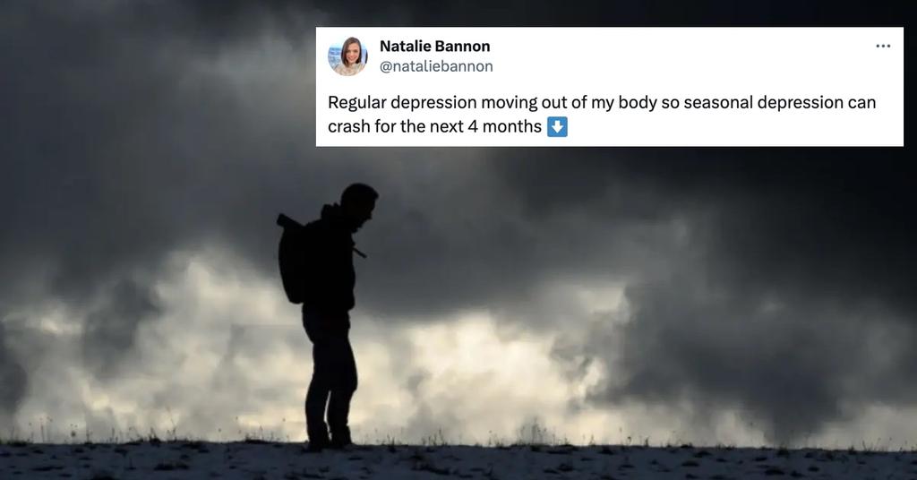 Seasonal Depression Memes to Brighten Your Mood
