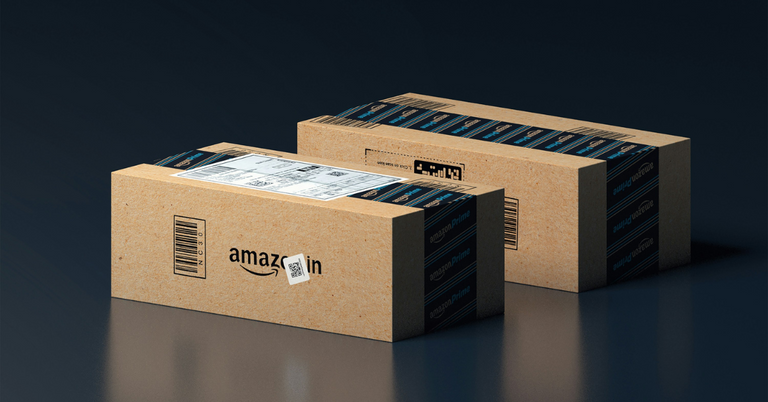Customer Finds Bugs in Amazon Package — Details Here