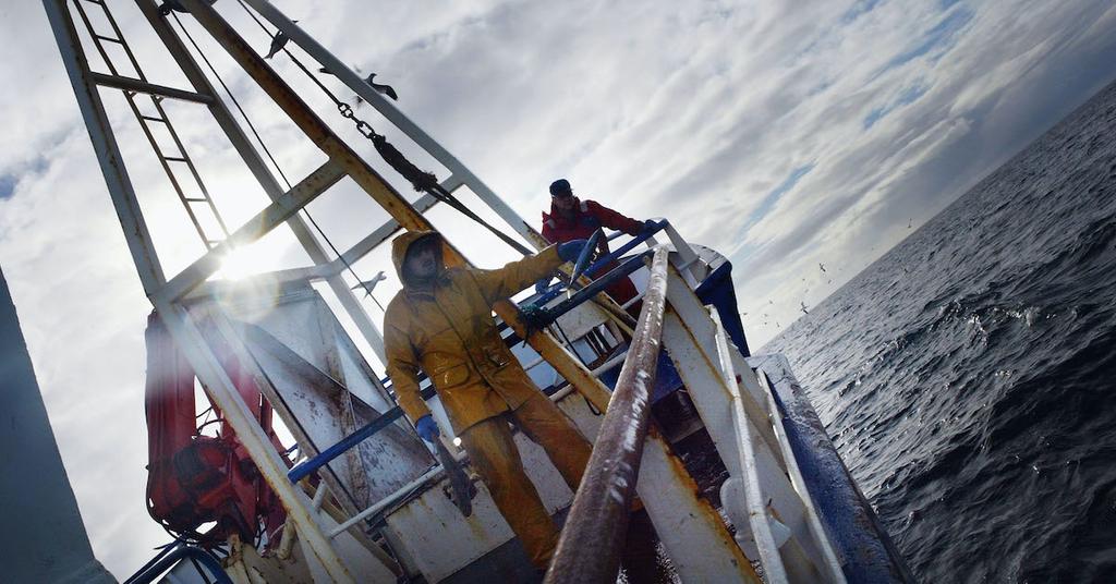 What Is Bottom Trawling? The U.K. May Ban the Common Fishing Practice