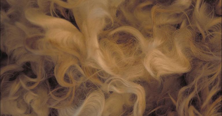 What Animal Does Cashmere Come From? Here's How Cashmere Is Made