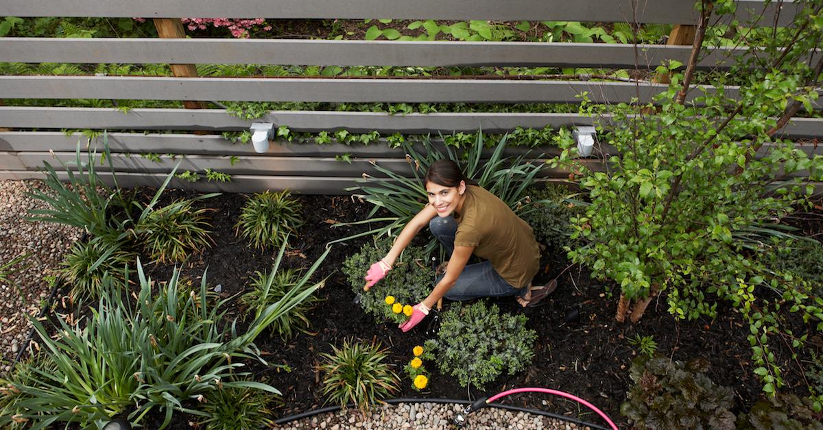 Landscaping for Beginners: What You Need to Know to Get Started