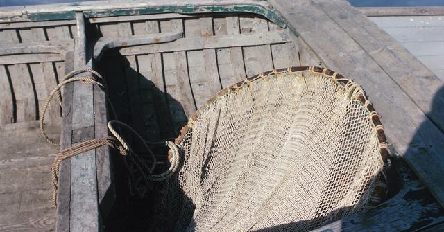 What Is Bottom Trawling? The U.K. May Ban the Common Fishing Practice