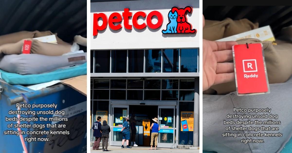 Petco Controversy: Video Store's Dumpsters Stuffed With Dog Beds