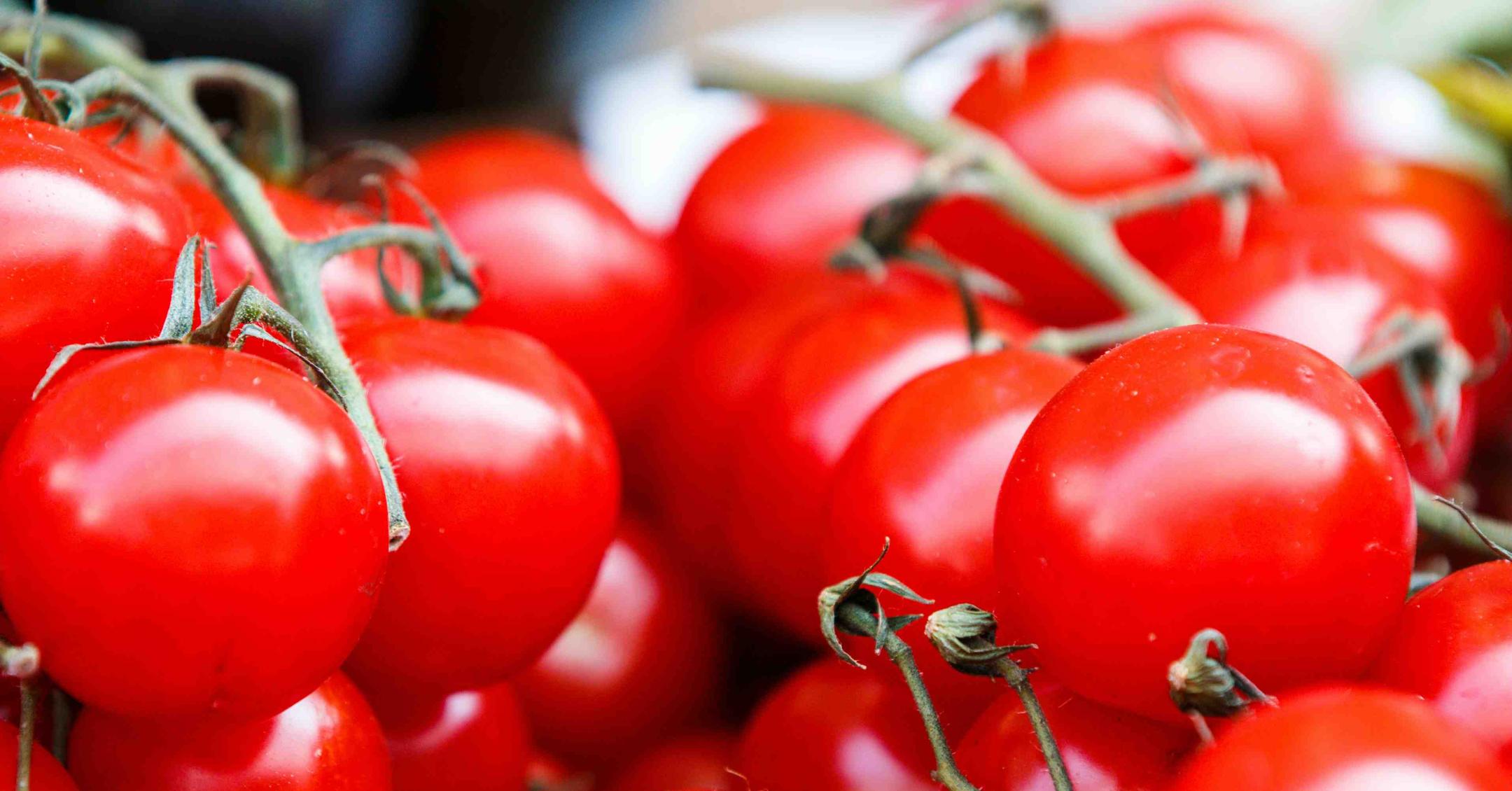 All About the Deadly Tomato Recall of 2025