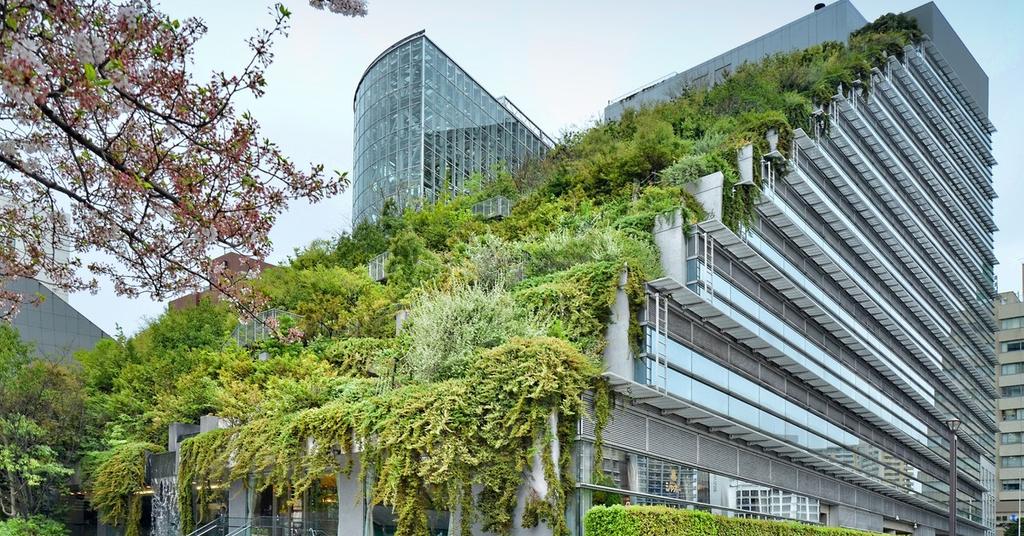 How Does Construction Affect the Environment? Everything You Need to Know