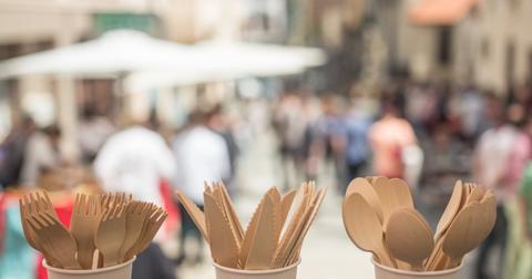 What Does Biodegradable Mean?