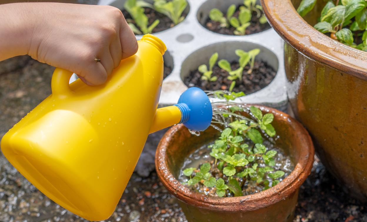 Milk Jug Gardening Ideas