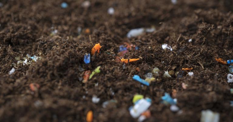 How Can We Stop Plastic Pollution?