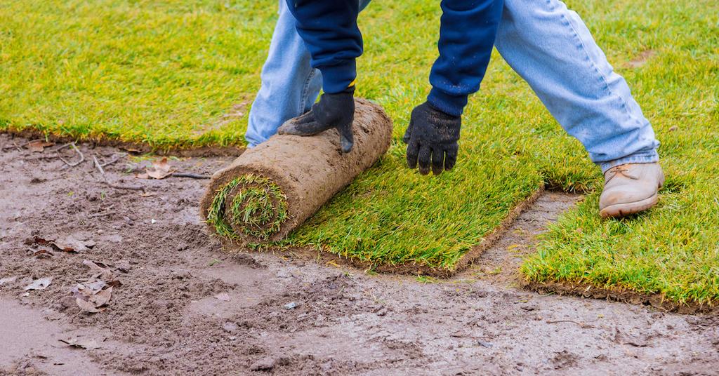 The Environmental Impact of an Artificial Lawn — What to Know