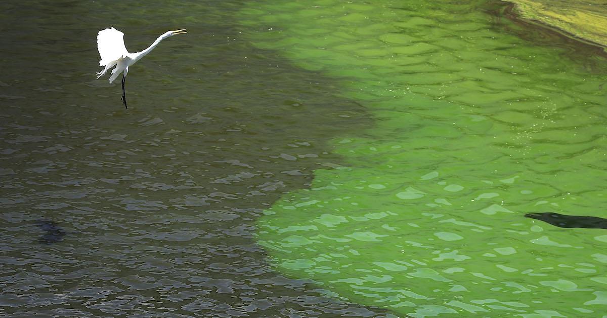 How Does Climate Change Affect Rivers? Only 5 Percent Are Still Blue