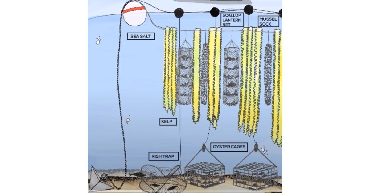 What Is an Underwater Farm? They're Completely Self-Sufficient