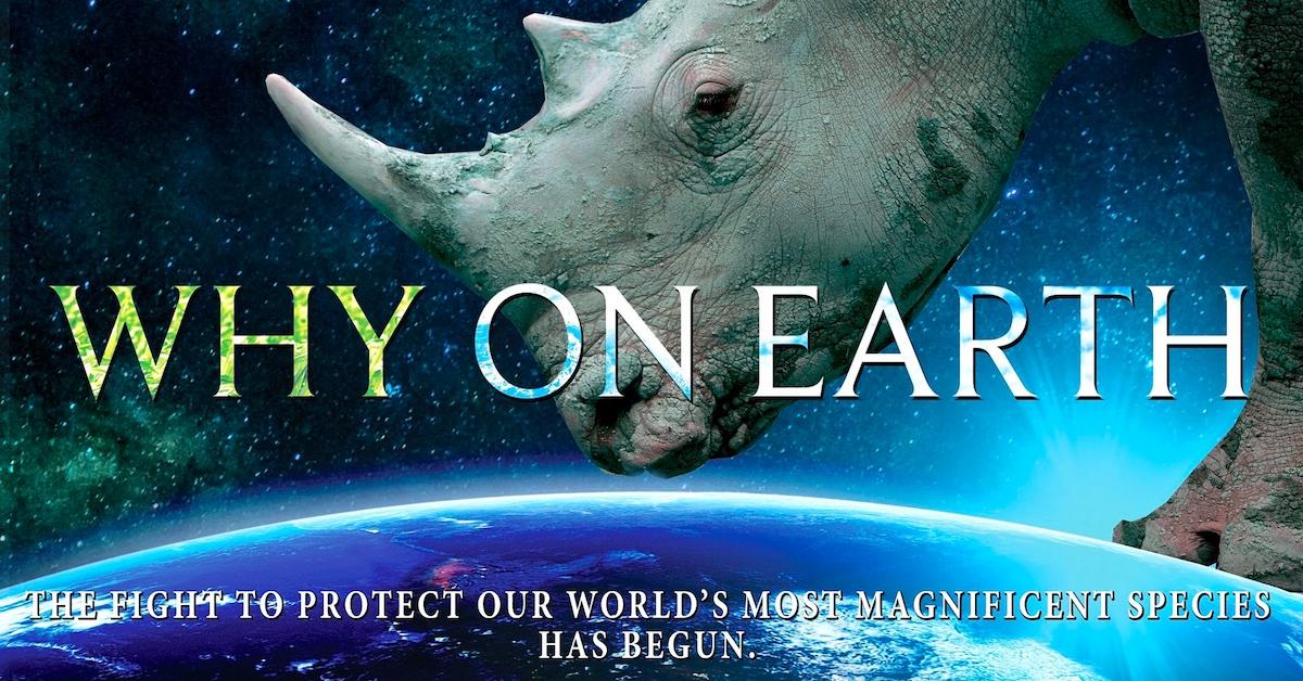 ‘Why on Earth’ Documentary Emphasizes Importance of Animal Protection