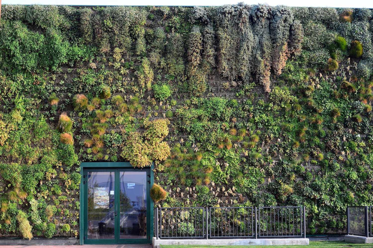 8 Stunning Green Walls From Around The World
