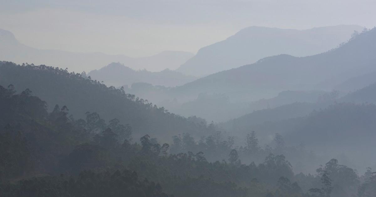 Why Does Fog Form? What To Know About the Natural Phenomenon