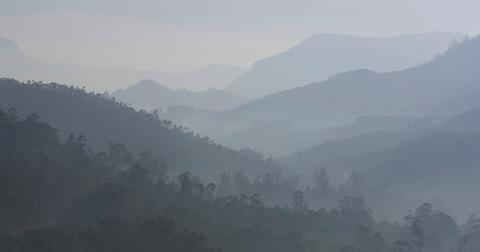 Why Does Fog Form? What To Know About the Natural Phenomenon