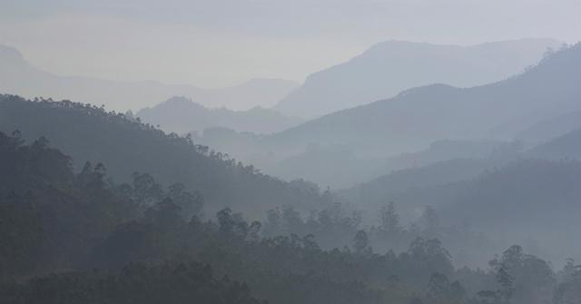 Why Does Fog Form? What To Know About the Natural Phenomenon