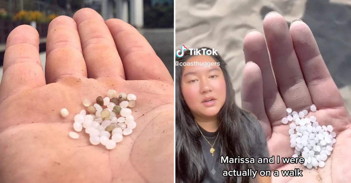 What Is a Nurdle? This Plastic Pollution Is Everywhere in Nature