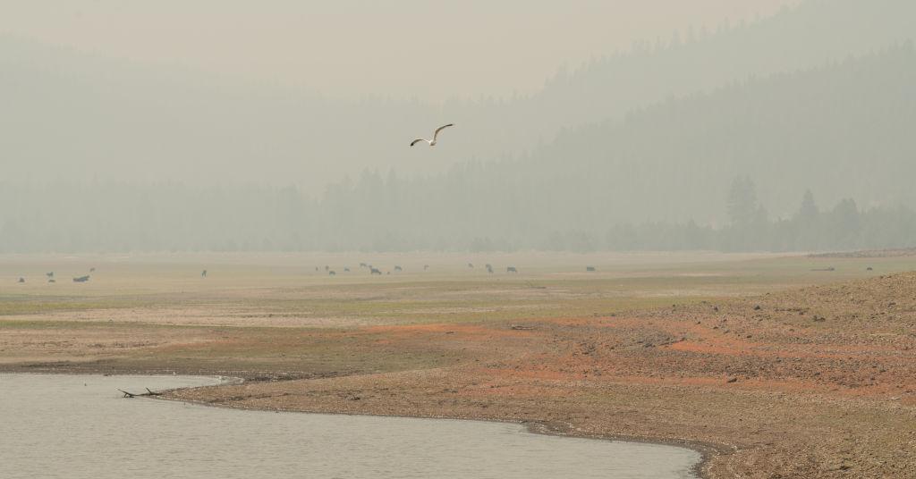 What to Know About the Drought in Oregon