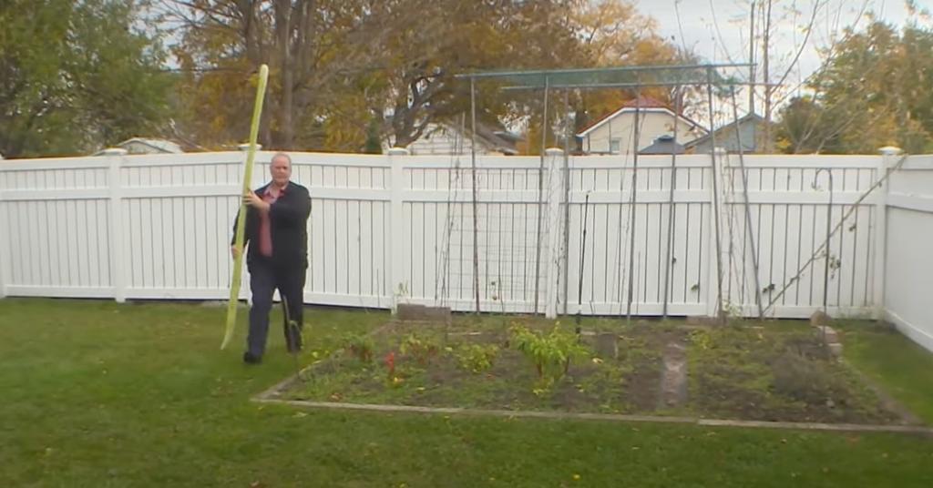 World's Biggest Zucchini: Ontario Man Could Break the Record