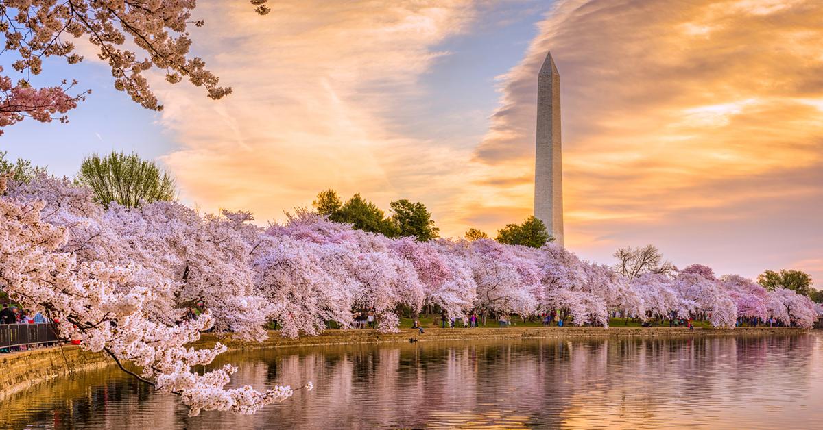 Washington D.C. Sets a Goal of 100 Percent Renewable Energy by 2032