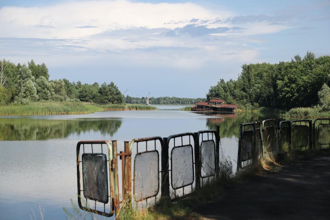 Are the Radiation Levels in the Cooling Ponds of Chernobyl Causing ...
