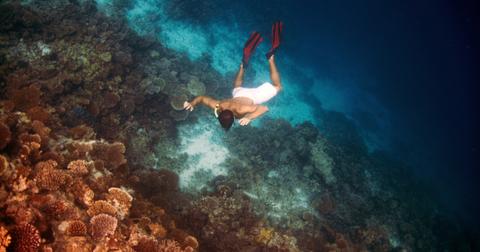 How Are Coral Reefs Impacted by Climate Change?