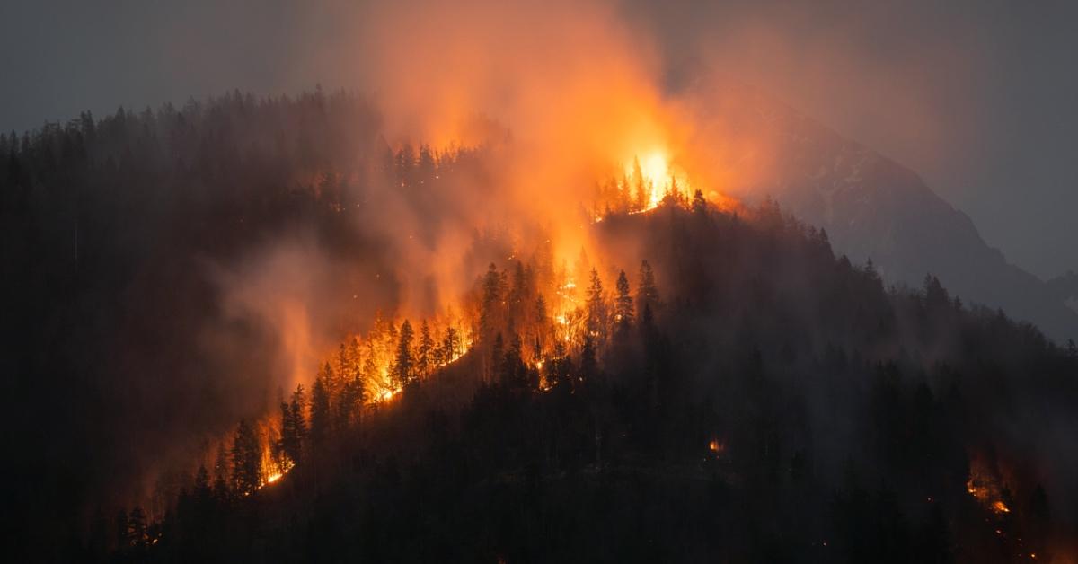 How Did the Maui Fires Start? Everything You Need to Know