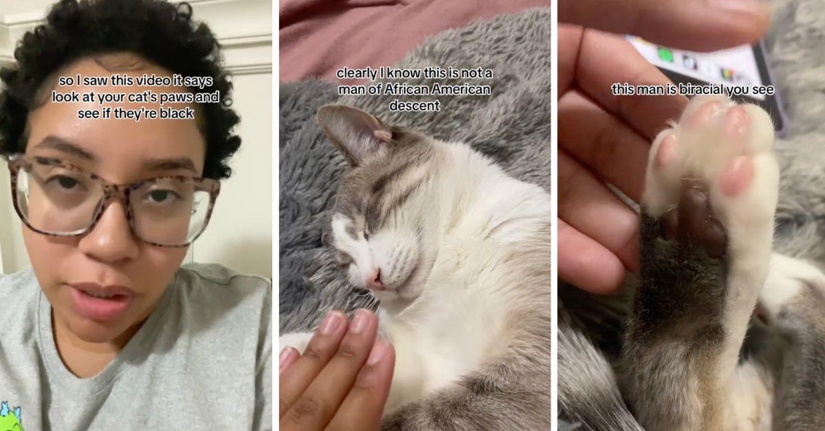 People Are Checking Their Cats' Paws to Find out Their Race