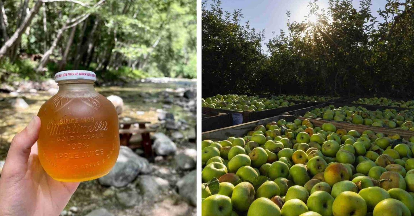 Details About the Martinelli's Apple Juice Recall