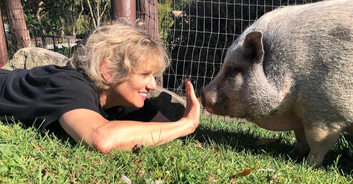 How to Start a Farmed Animal Sanctuary: Two Experts Share Their Tips