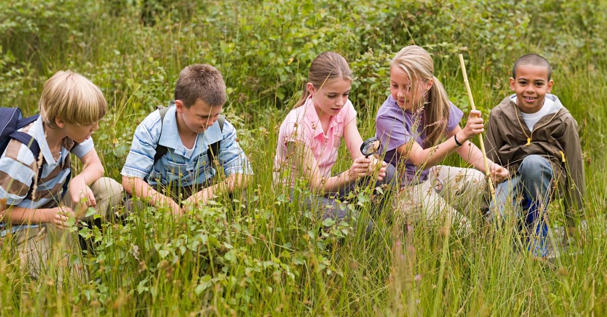 Earth Day Projects for Older Kids to Honor the Environment