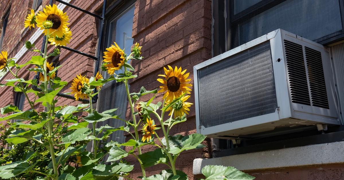 Save Money and Energy With These DIY Air Conditioner Ideas