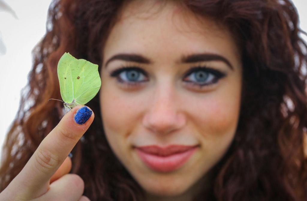 What It Means When a Butterfly Lands on You: Spiritual Interpretations