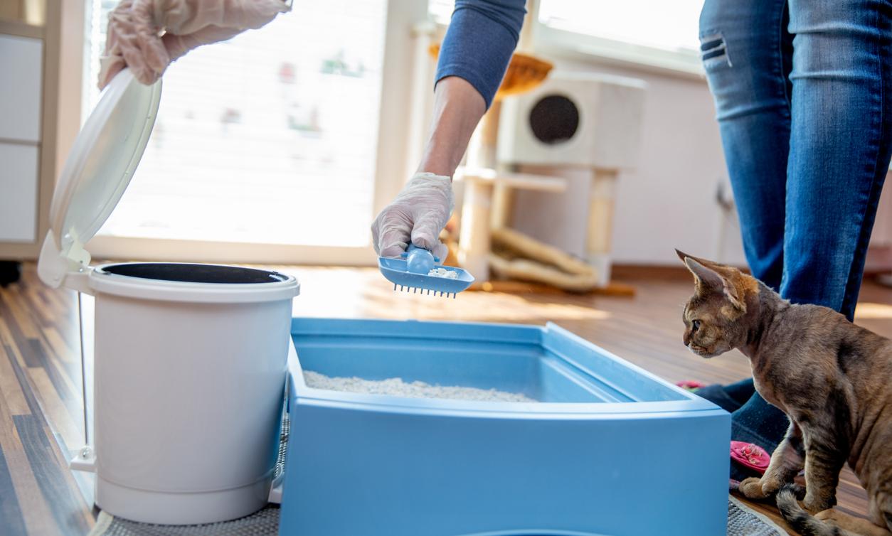 Here's How to Humanely Keep Your Dog out of the Litter Box