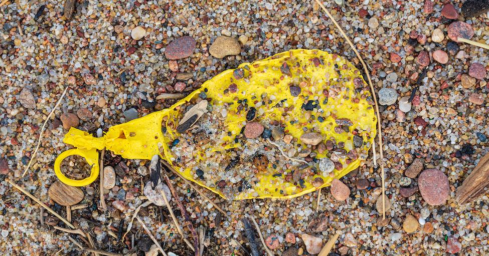 Laguna Beach Balloon Ban: What You Need to Know