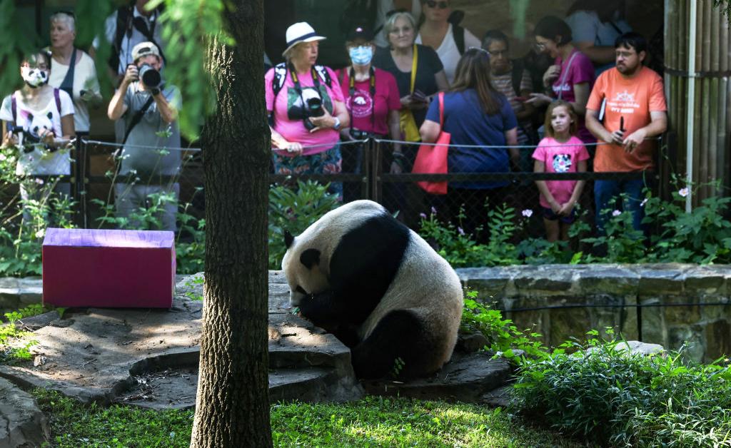 Should Zoos Exist? Many Don't Seem to Think So