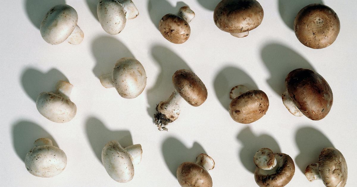 Fungi Vegan Leather Will Revolutionize Adidas' Footwear Section By 2021