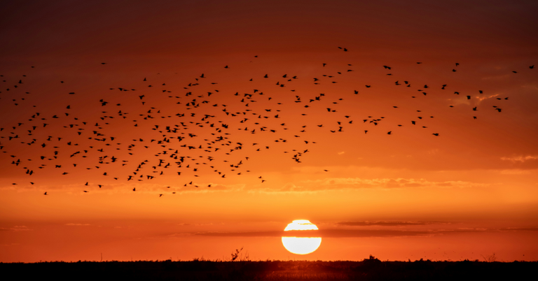 What Caused the August 2025 Everglades Fire in Florida?