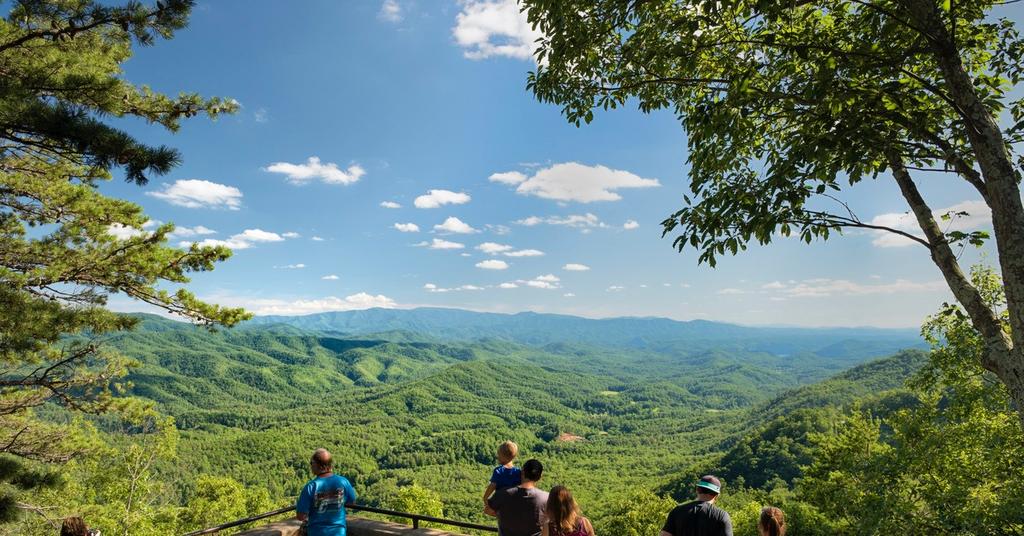 When Is the Best Time to Visit the Smoky Mountains? Our Guide