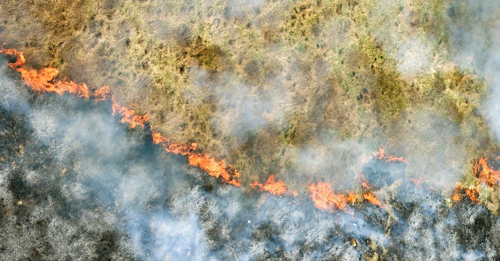 Are Wildfires Natural Disasters? Here's What Experts Say