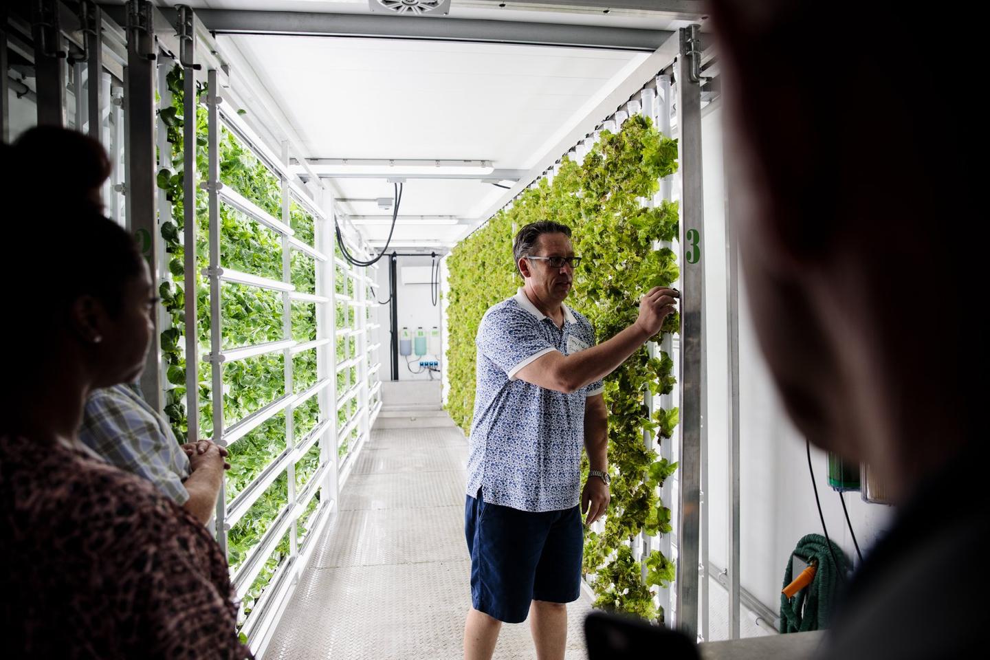 This Company Is Using Hydroponic Technology to Increase Food Security