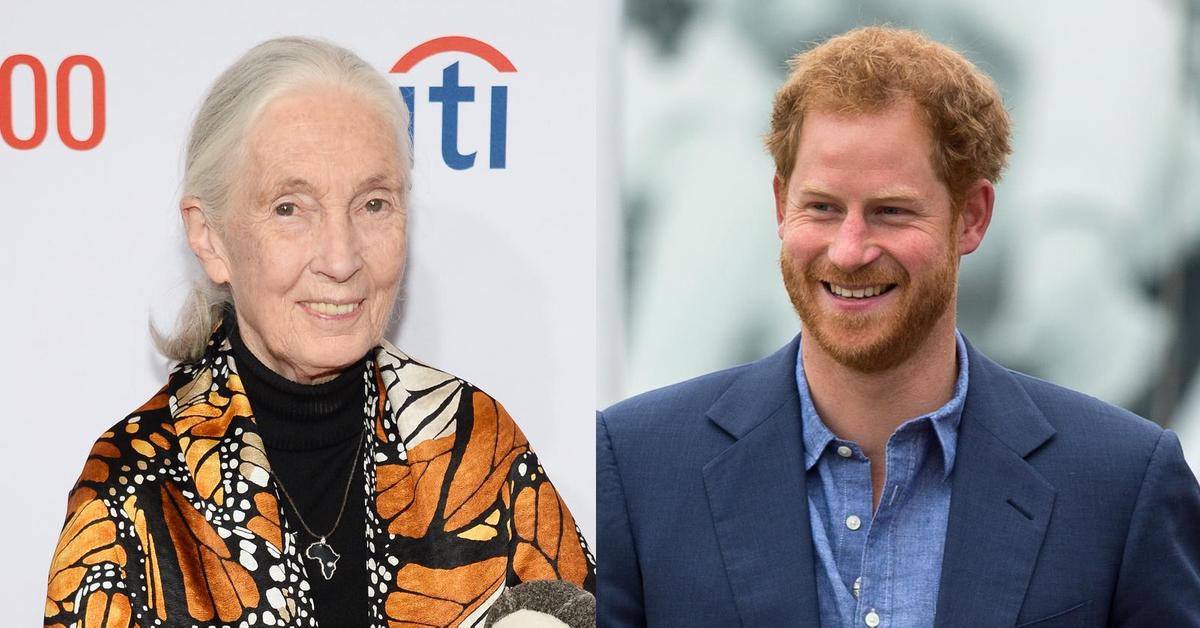 Prince Harry and Jane Goodall Inspire Kids to Fight for the Planet
