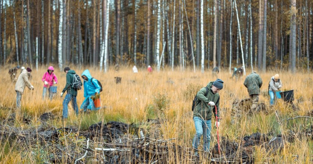 What Are the Goals of Ecological Restoration?