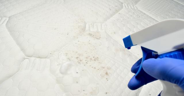 How Do I Get Blood Stains Out of My Couch? Details Here
