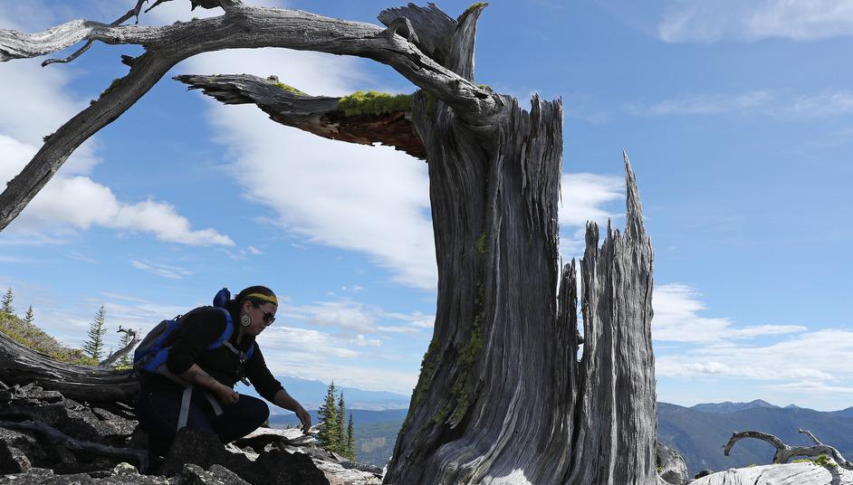 What Do Ecologists Do?