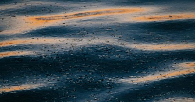 Can Fuel-Eating Bacteria Clean Oil Spills? What to Know