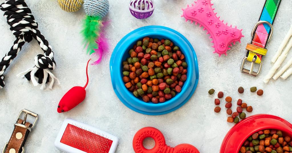 The 10 Best Sustainable Pet Supply Brands: Where to Shop