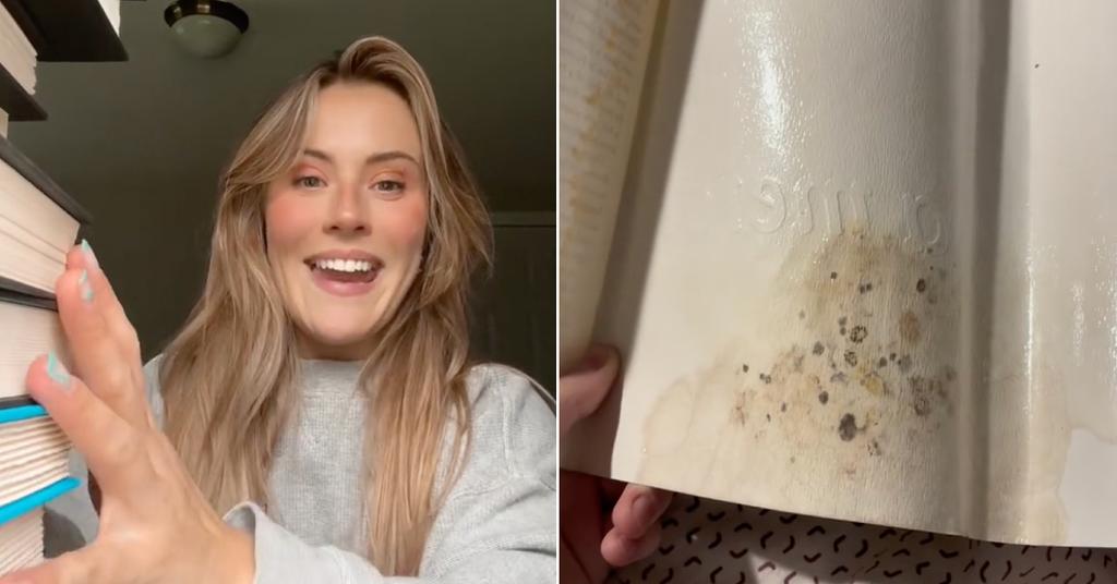 How to Protect Books From Mold — and Safely Clean Them