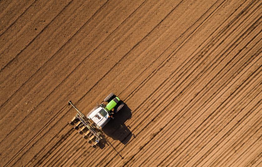 The Pros and Cons of GMOs