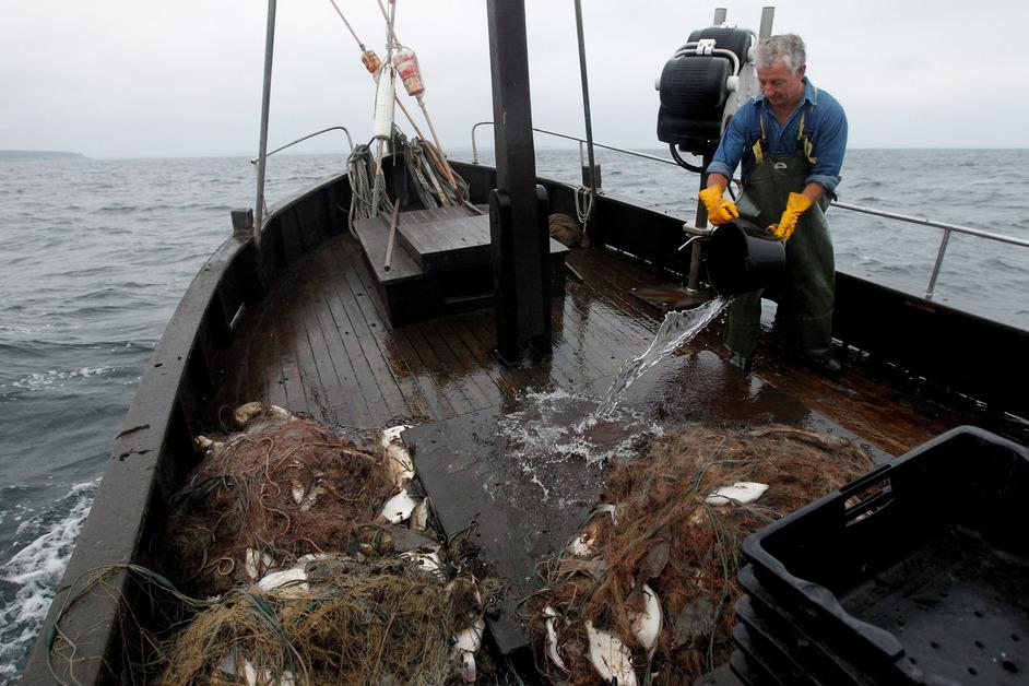 Why Is Overfishing a Problem, and What Can Be Done About It?